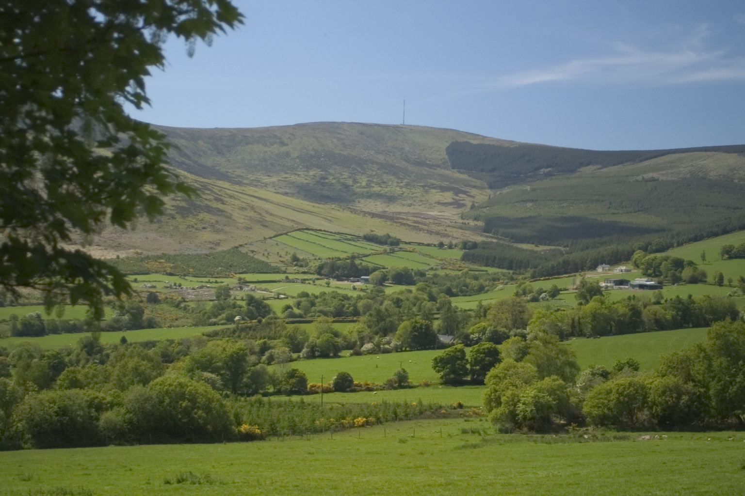 County Carlow: The Best Bucket List Activities | Outsider.ie