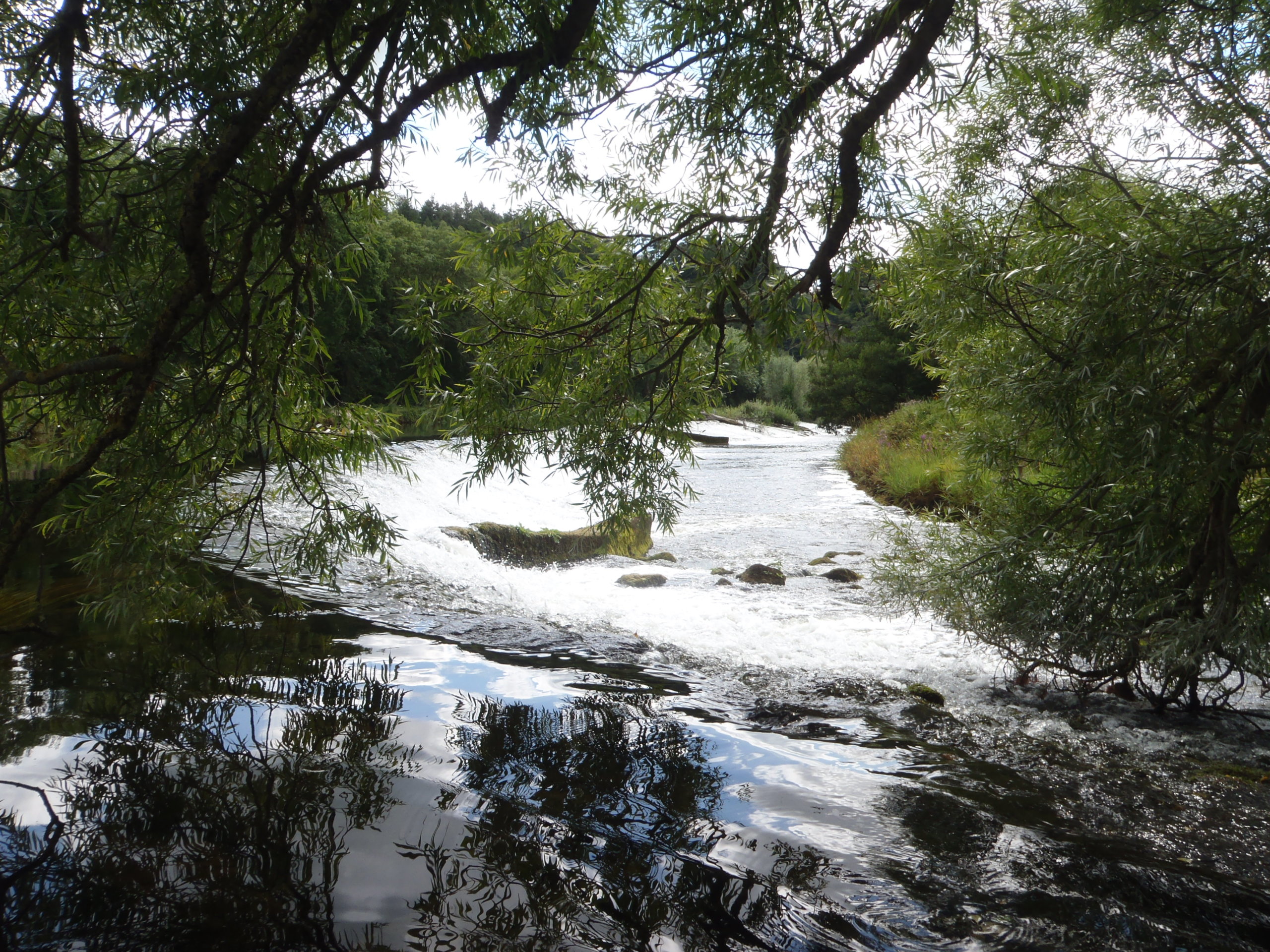 Paddling & Wild Camping Adventures on the River Barrow | Outsider.ie