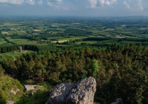 10 of the Best Walks in Tipperary | Outsider.ie