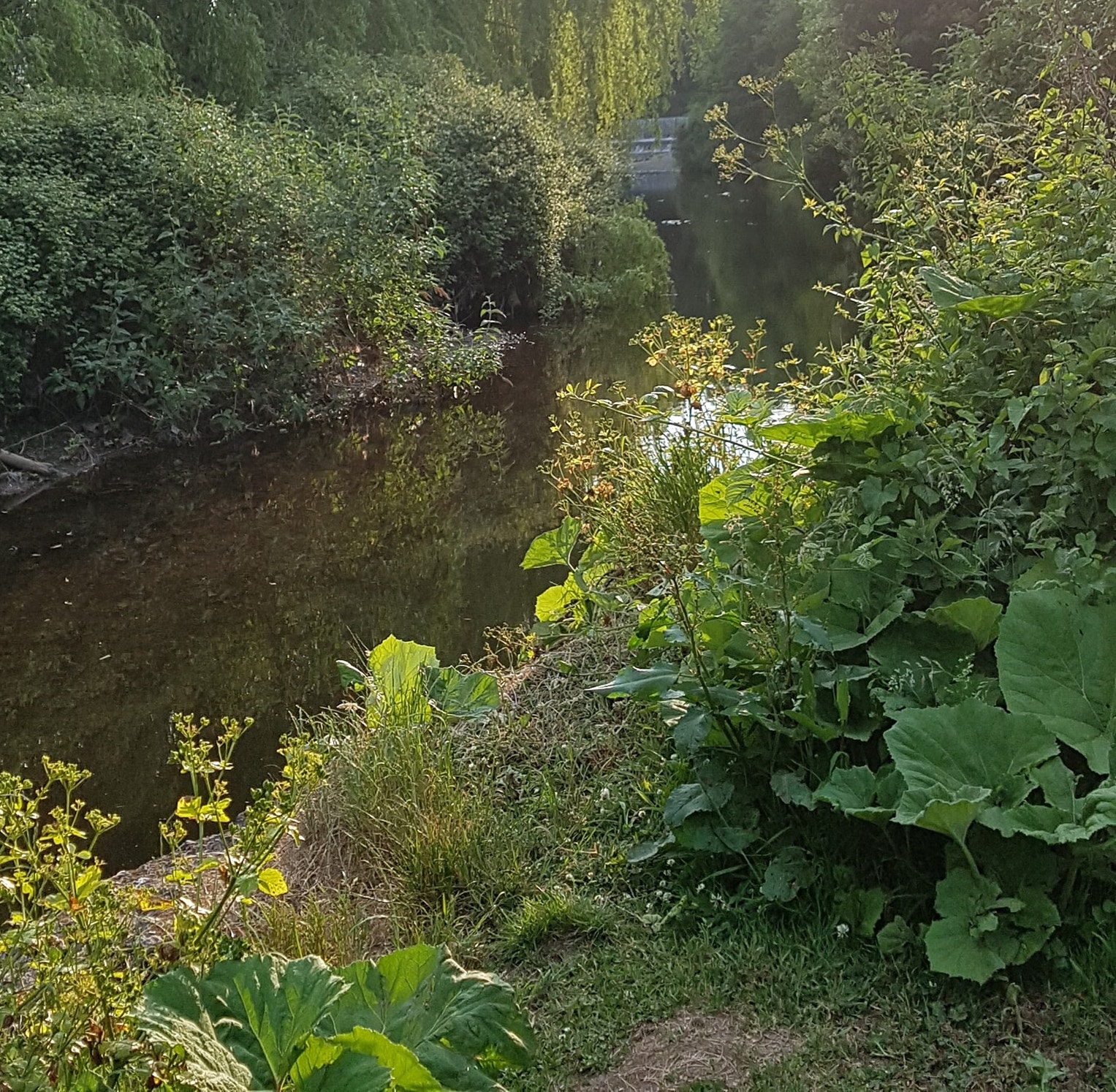 Buggy Friendly Walks in Dublin: 5 of the Best | Outsider.ie