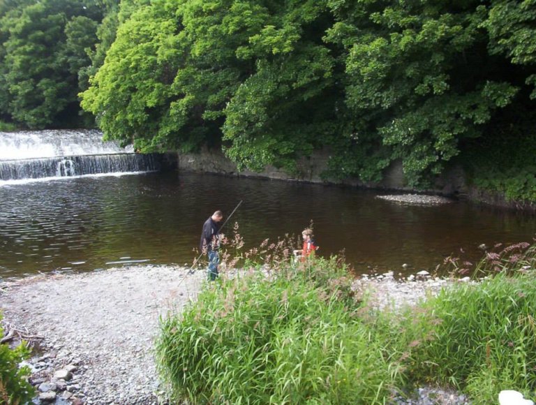 Buggy Friendly Walks in Ireland: 25 of the Best