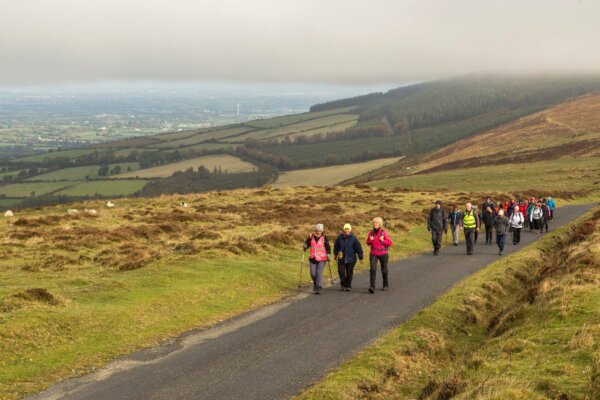 The Complete Guide to the Best Hikes in Carlow | Outsider.ie