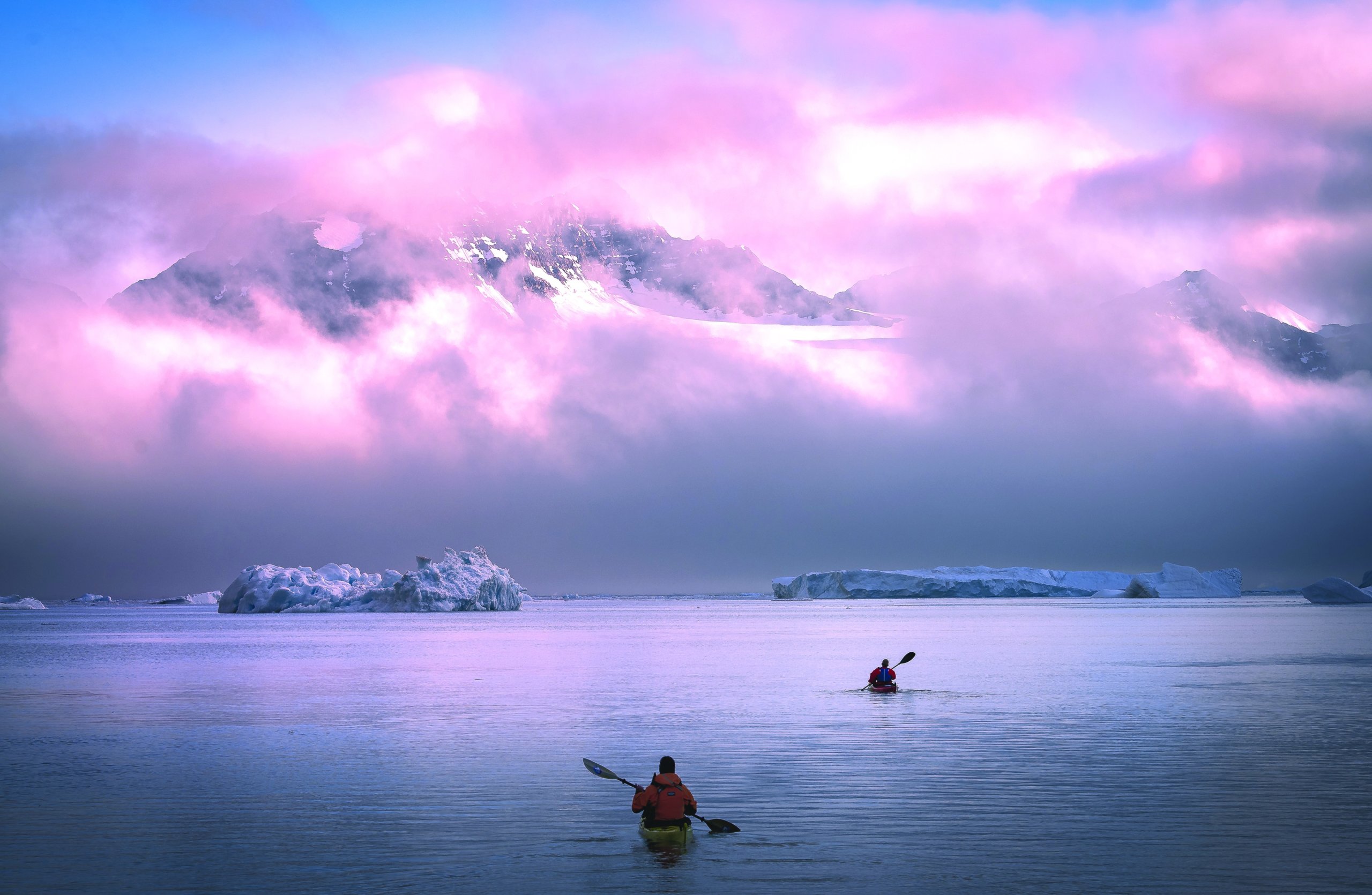 Arctic Polar Bears: Brutal Beauty in their Frozen Landscape | Outsider.ie
