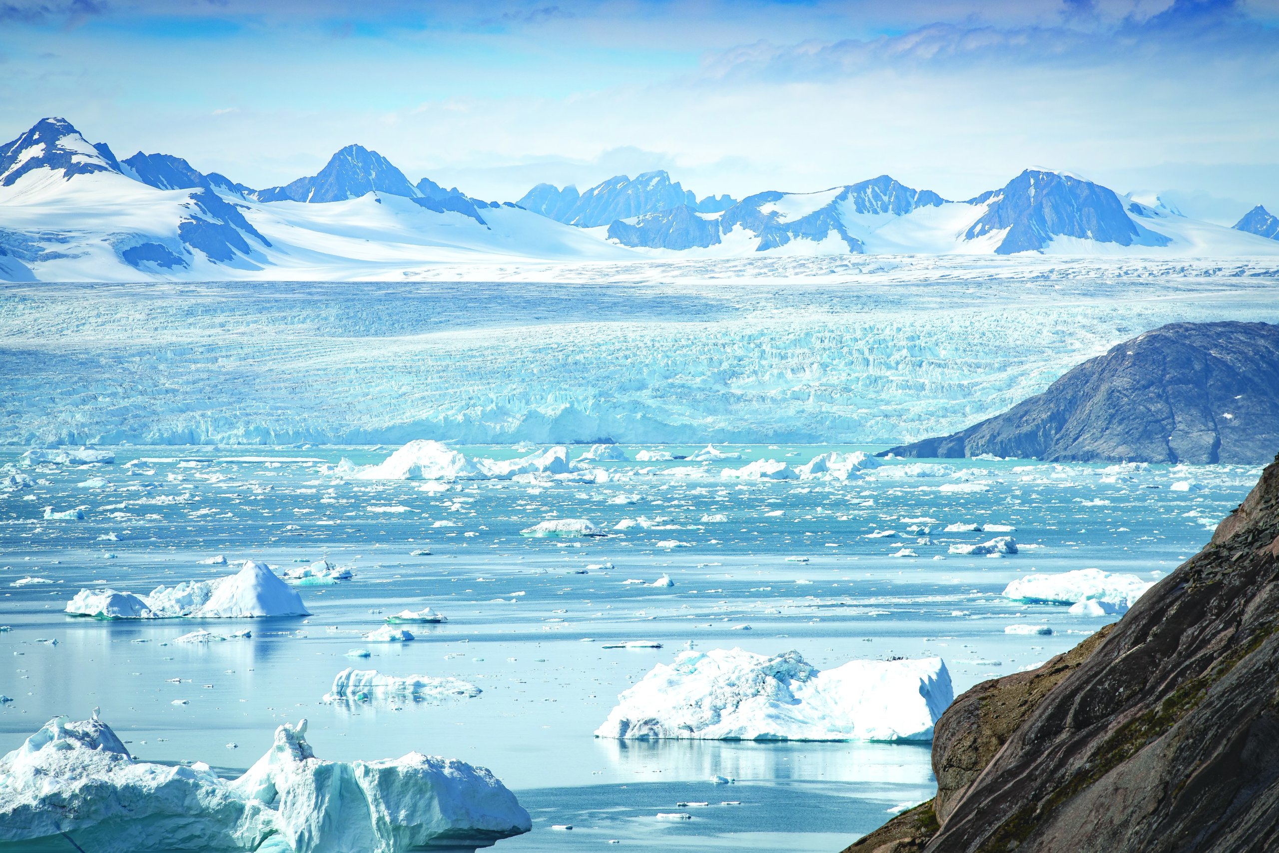 Arctic Polar Bears: Brutal Beauty in their Frozen Landscape | Outsider.ie