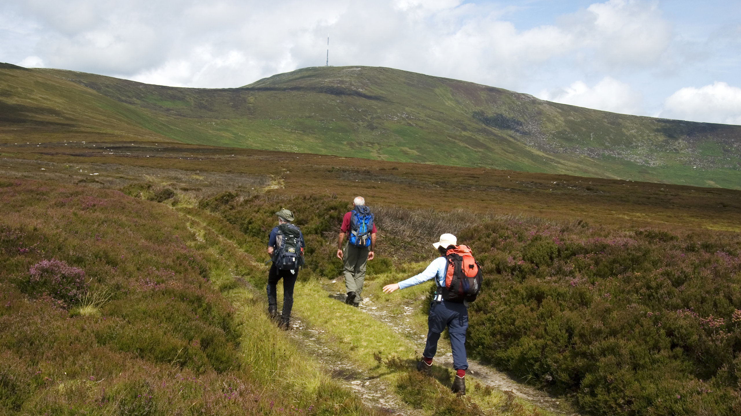 The Autumn Carlow Walking Festival | Outsider.ie
