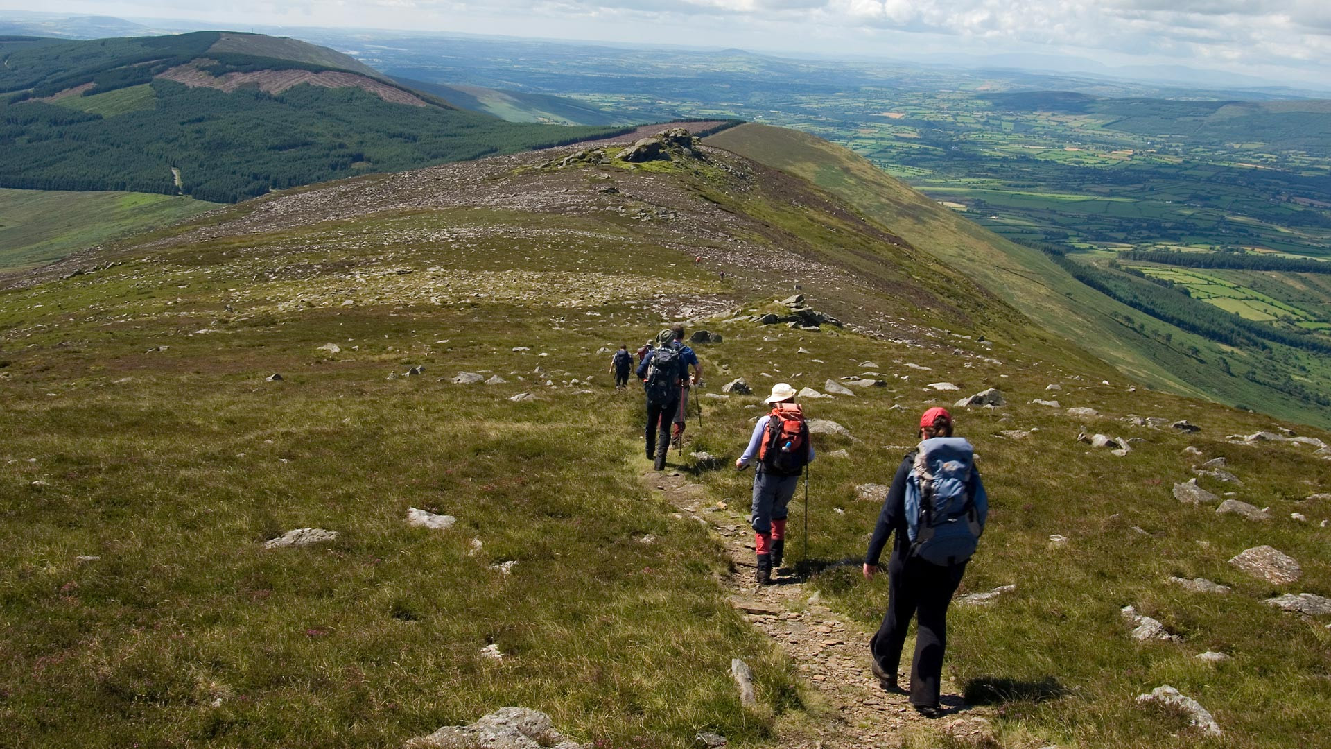 The Autumn Carlow Walking Festival | Outsider.ie