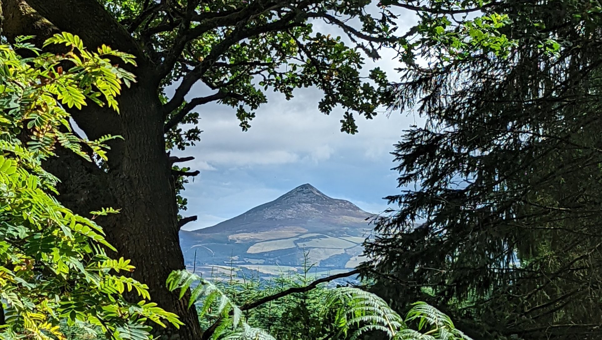Everything You Need To Know About The Sugarloaf | Outsider.ie
