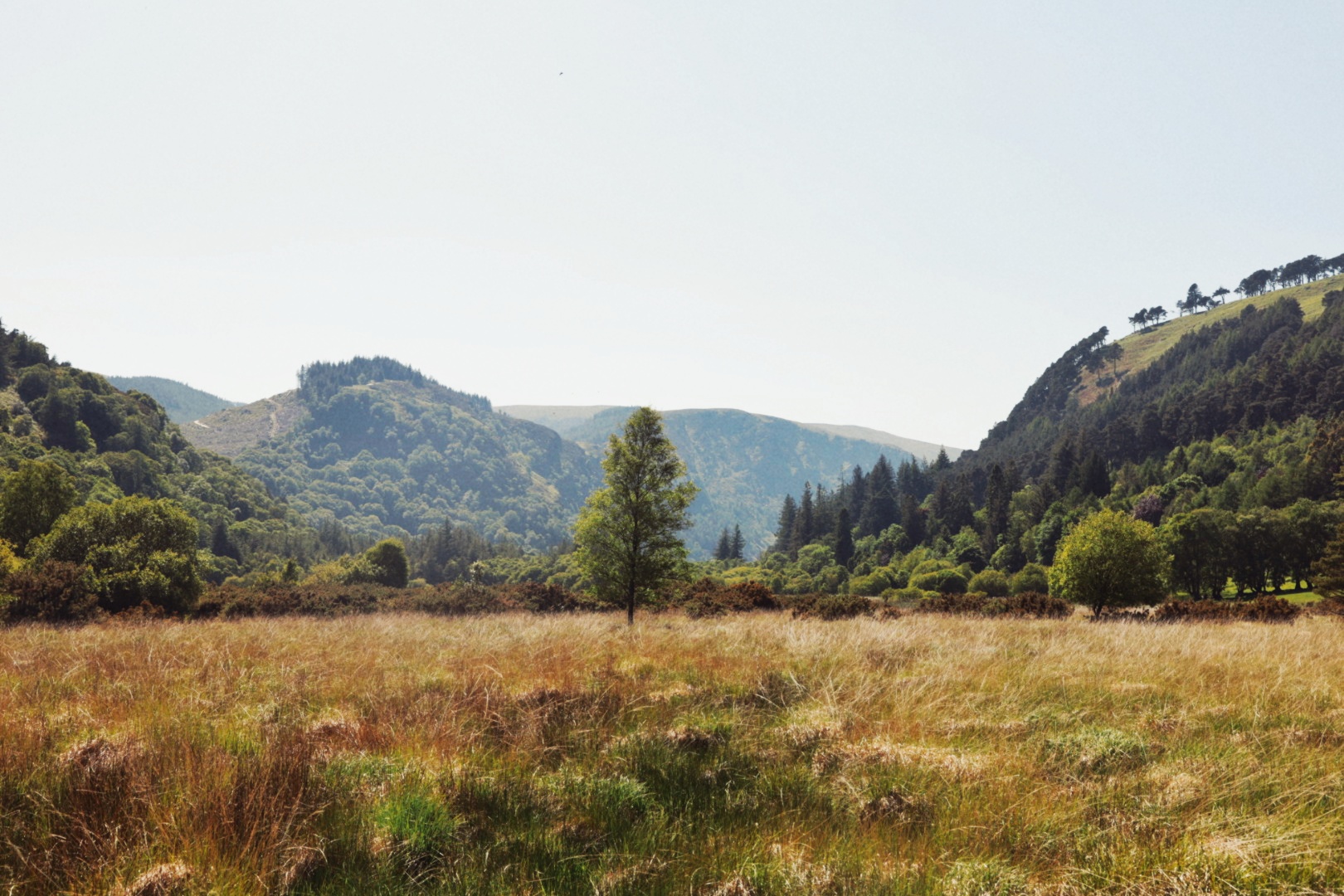 Outdoor Safety Q&A with Dublin Wicklow Mountain Rescue Team