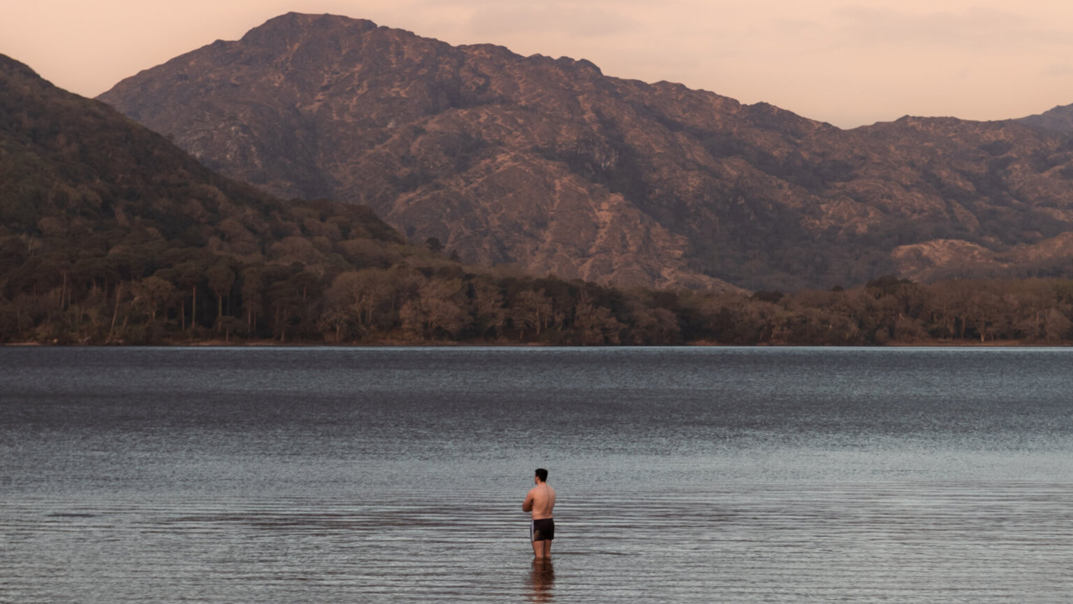 Wander Wild Festival Ireland: Everything You Need to Know | Outsider.ie