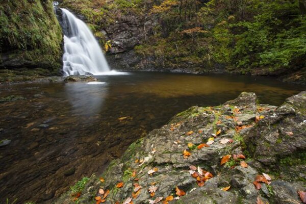15 Best Waterfall Hikes in Ireland (Spring Guide + Trail Details)